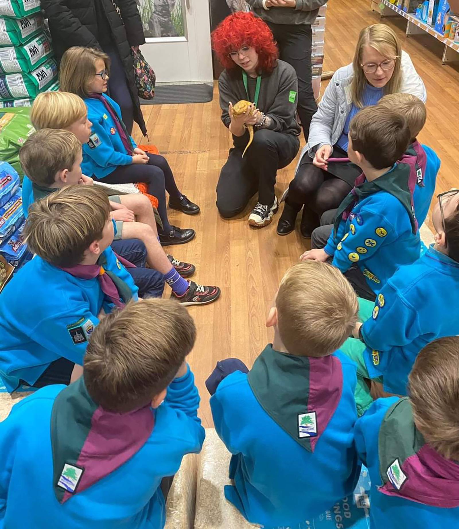 Beavers - 1st Westbourne Scouts